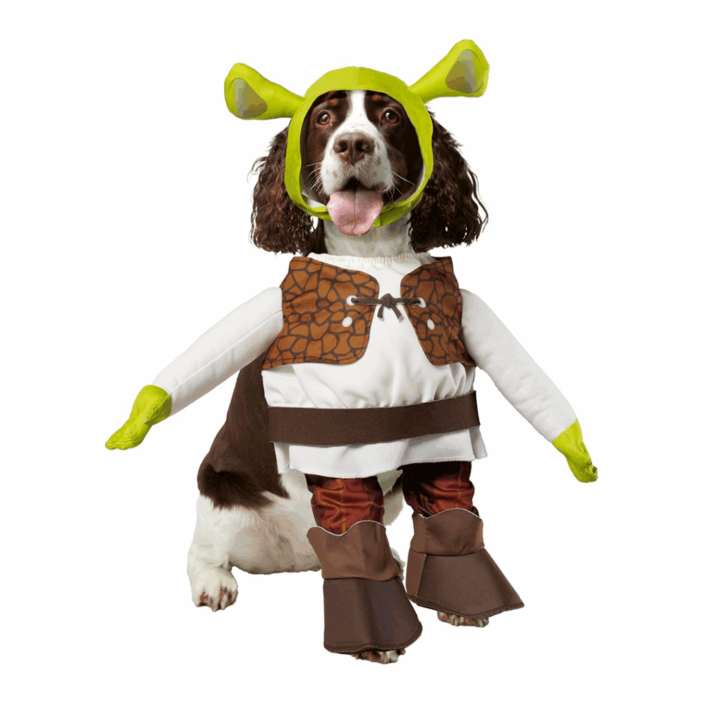 Disfraz Shrek XL - Party Center